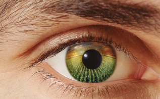 Aproach Power® | Fungicida | Protección de cultivos